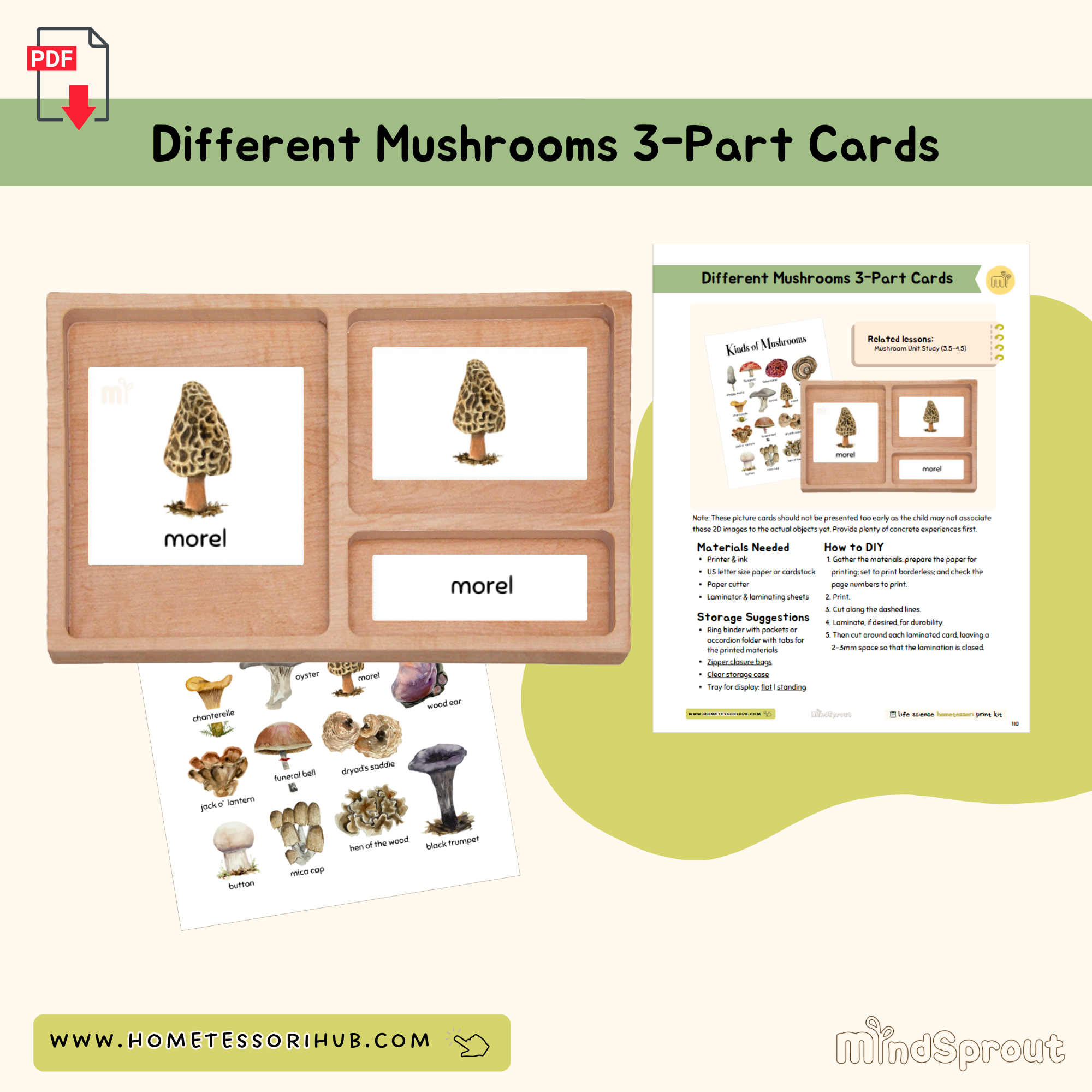 Human Organs 3-Part Cards & Charts Zoology Montessori Printable ...