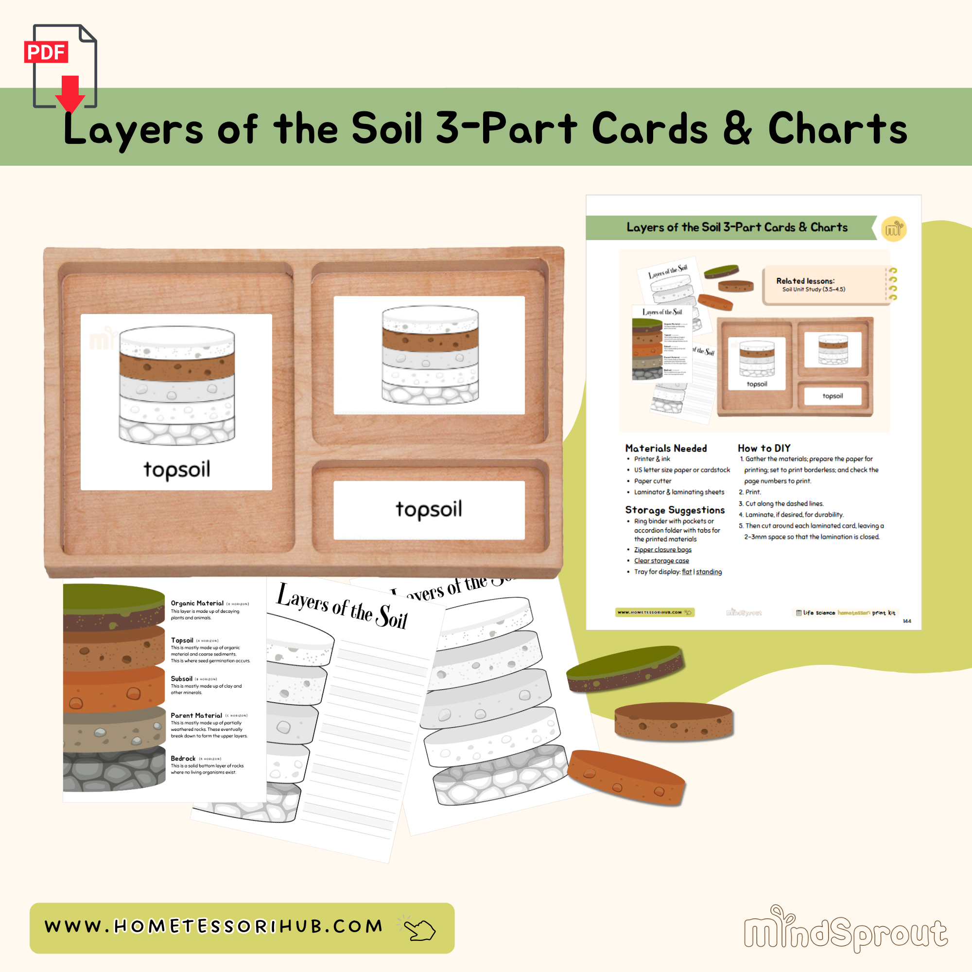 Clam Life Cycle 3-Part Cards and Chart Zoology Montessori Printable ...