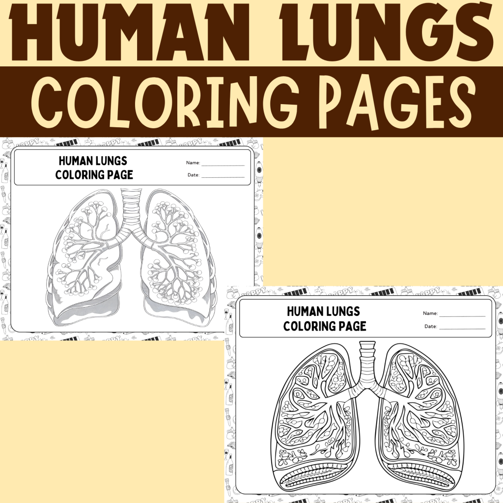Human Lungs Anatomy Activities - Labeling Worksheets, Coloring Pages ...