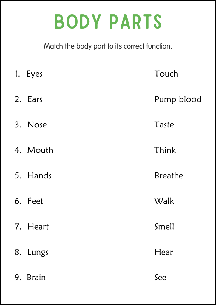 Printable Human Body Parts Worksheet - Body Parts Matching Activity for ...
