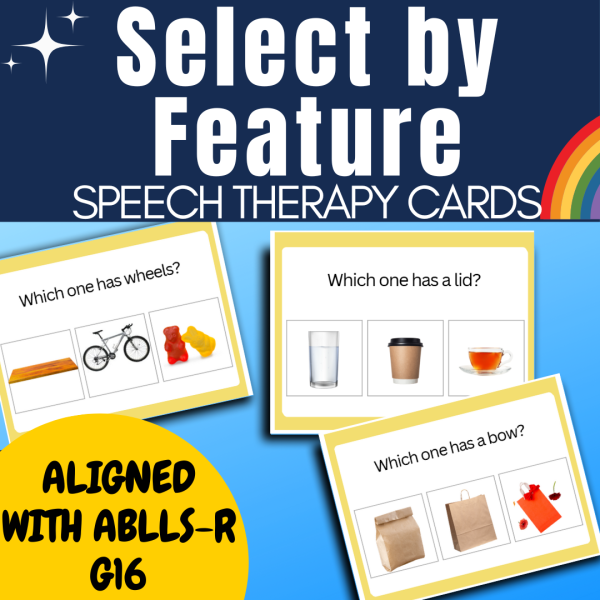 ID Some None All Printable Flashcards Aligned with ABLLS-R R11, R12 ...