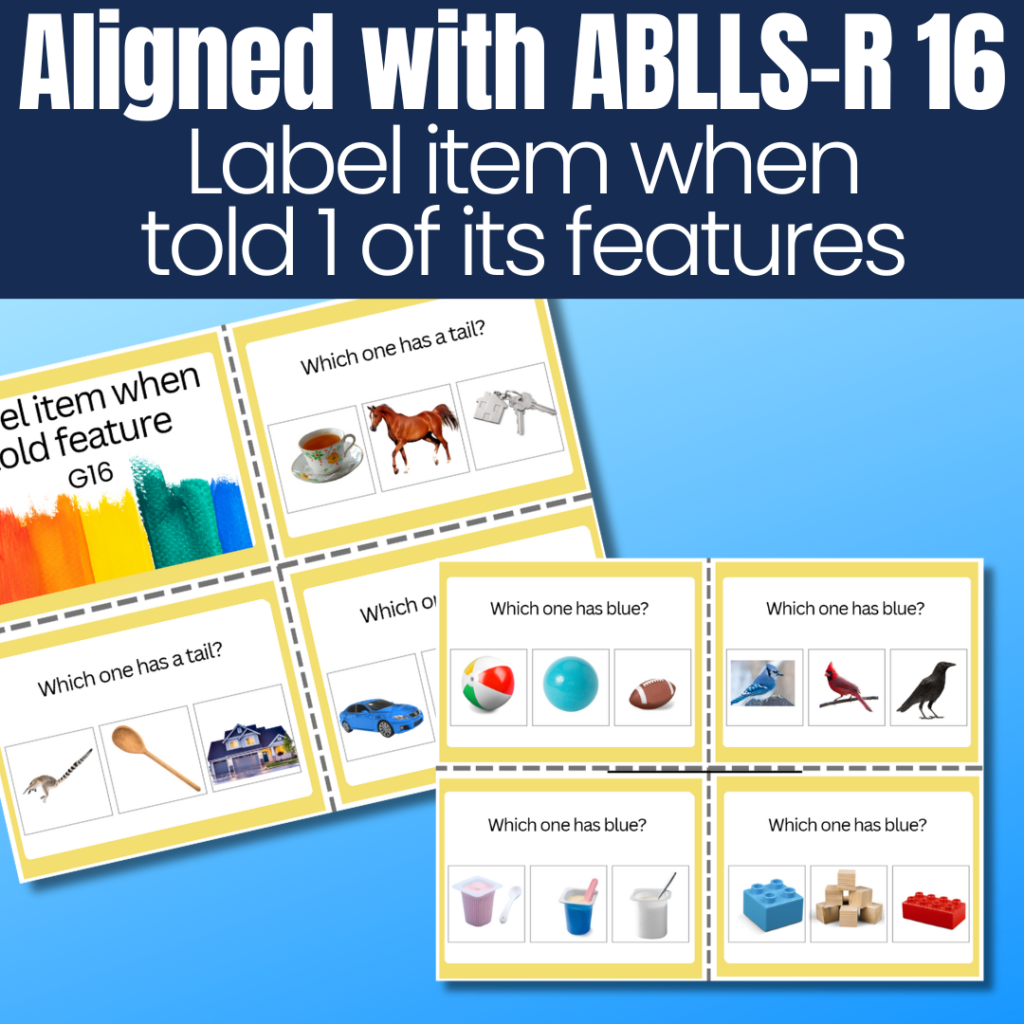 ID Some None All Printable Flashcards Aligned with ABLLS-R R11, R12 ...