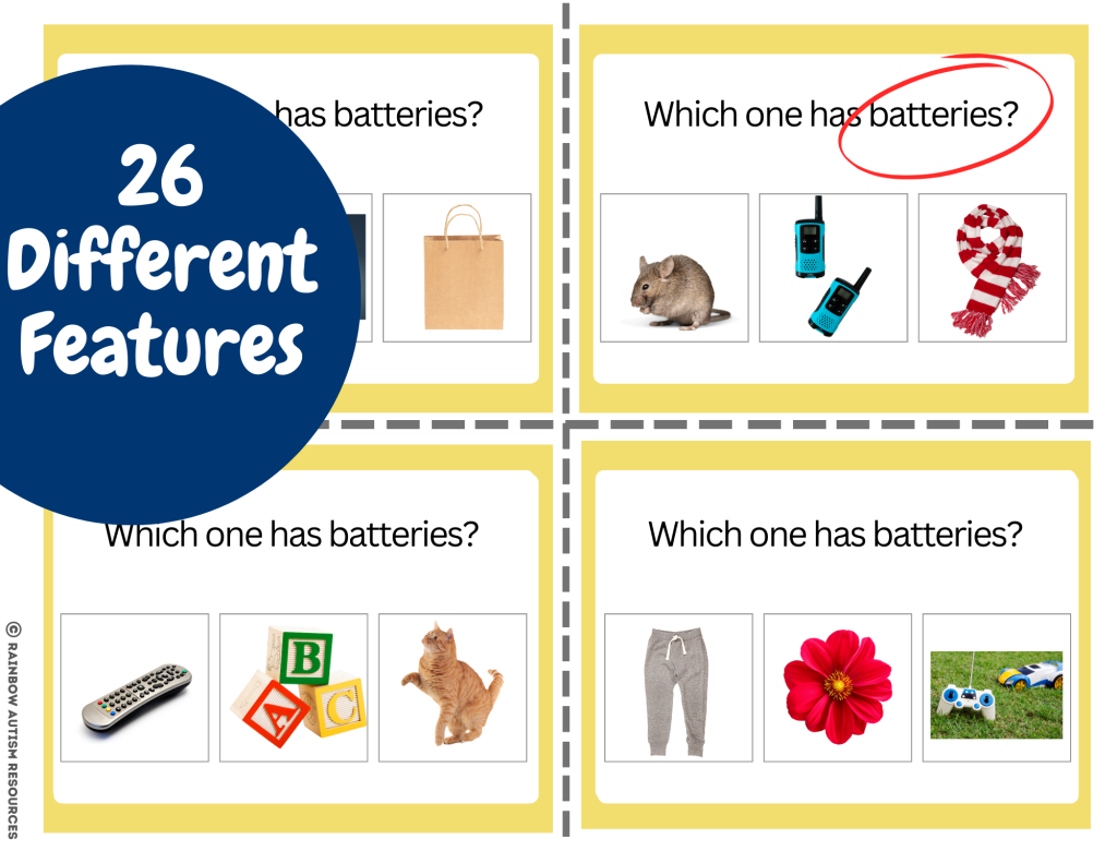 ID Some None All Printable Flashcards Aligned with ABLLS-R R11, R12 ...
