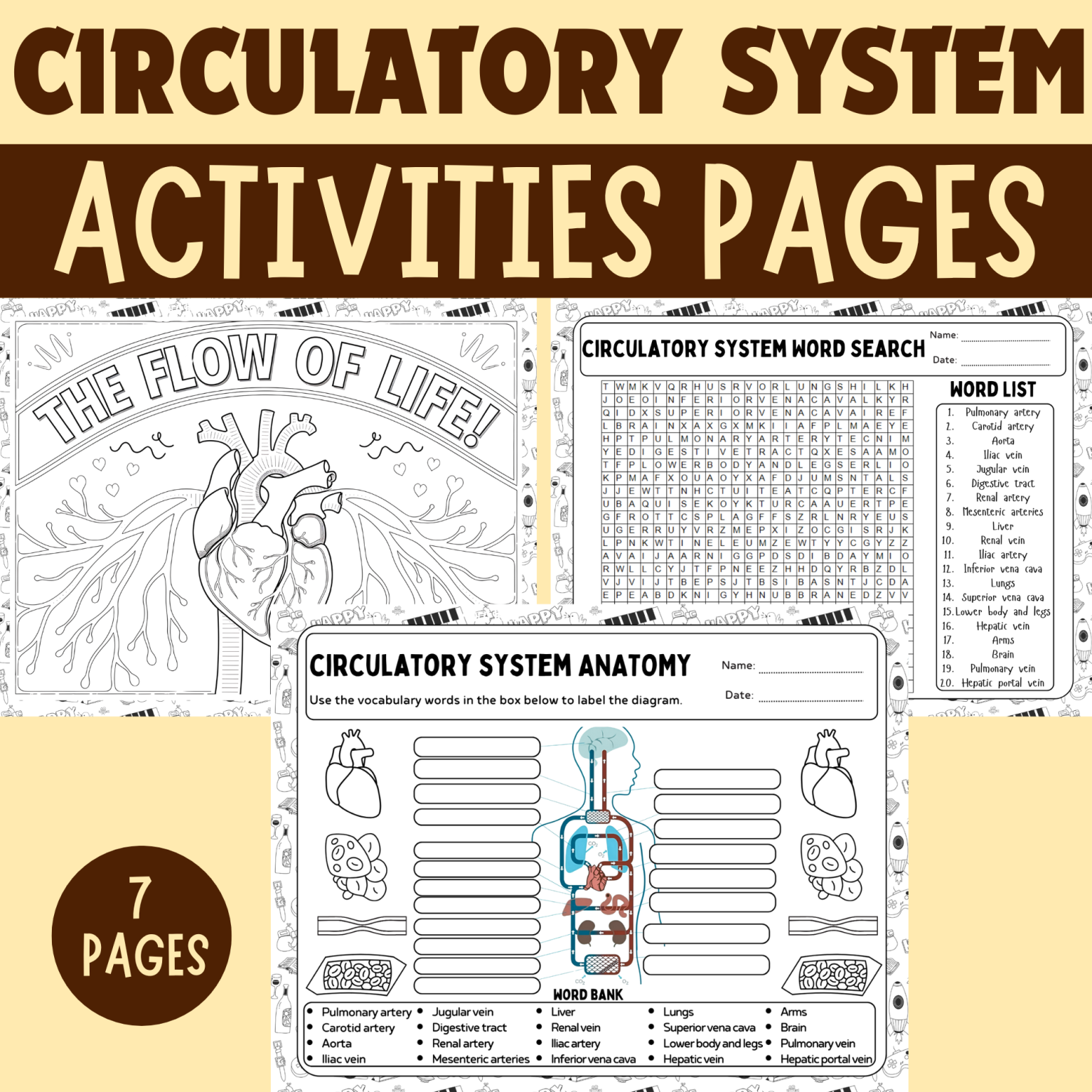 Human Circulatory System Activities - Blood Flow Diagram Labeling ...