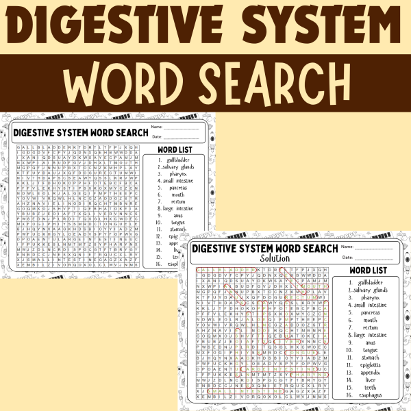 Human Digestive System Anatomy Activities - Labeling Worksheets Diagram ...