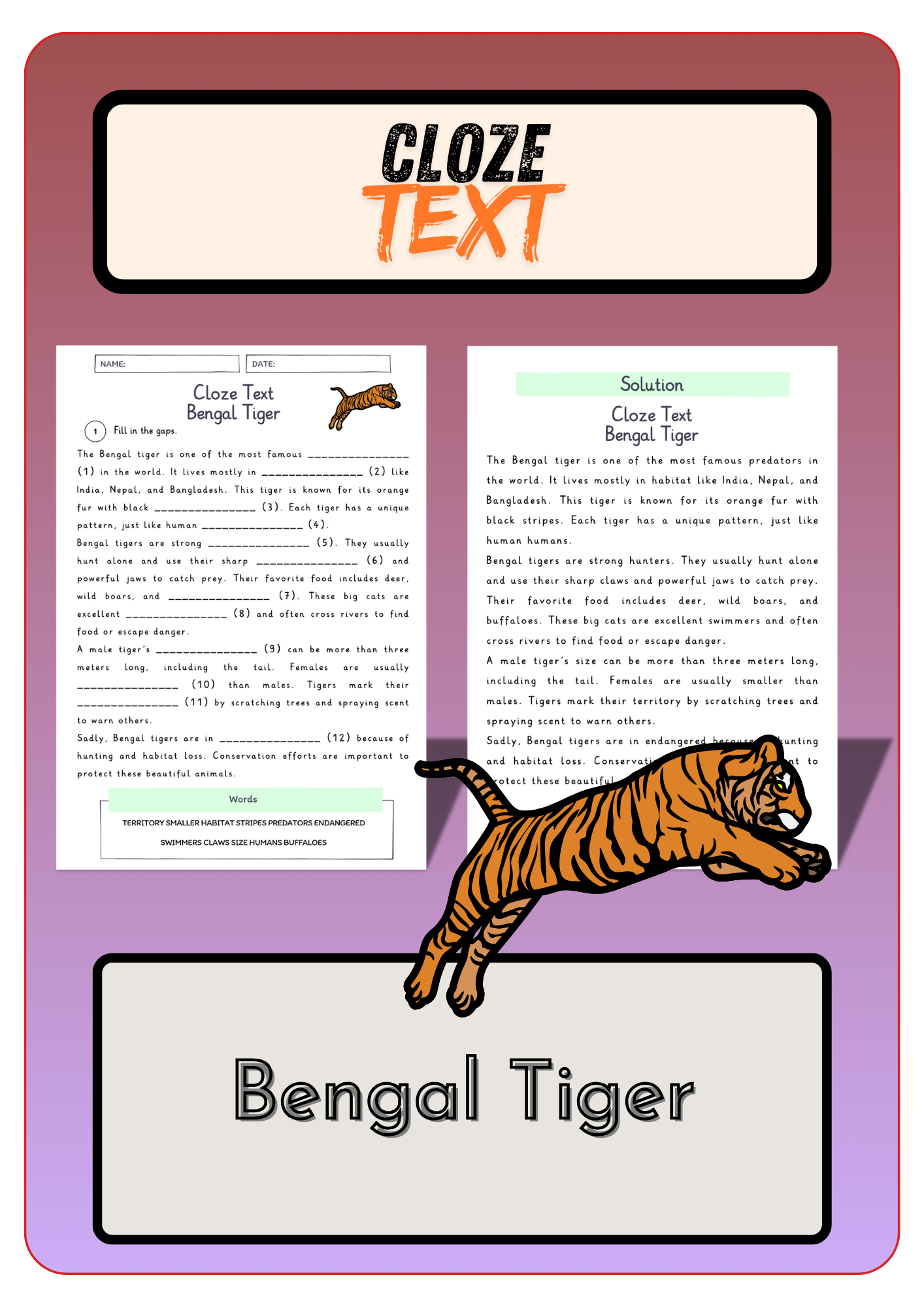 Reading Comprehension - Platform Diving + Solutions | Made By Teachers