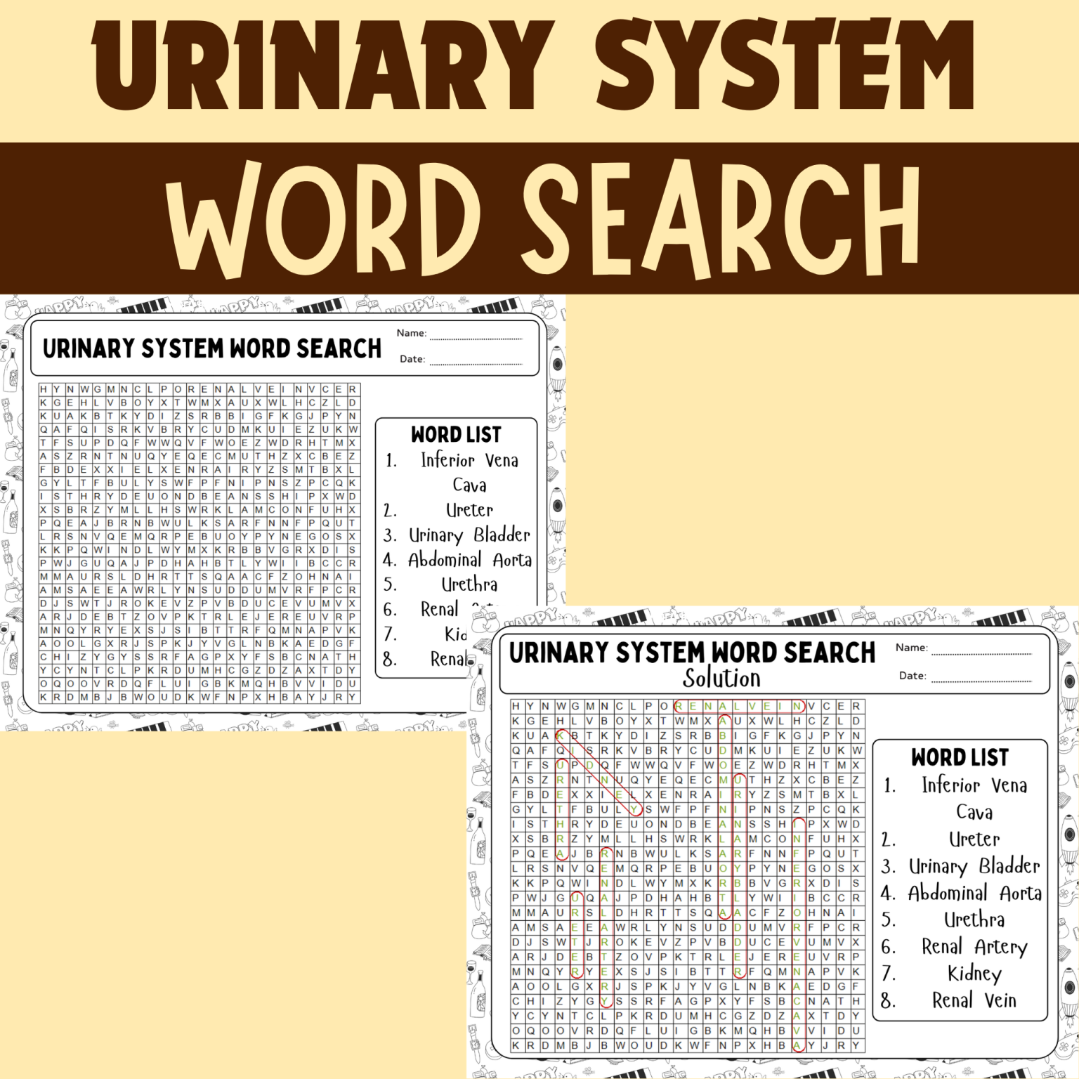 Human Urinary System Activities - Labeling Worksheets Resources for ...