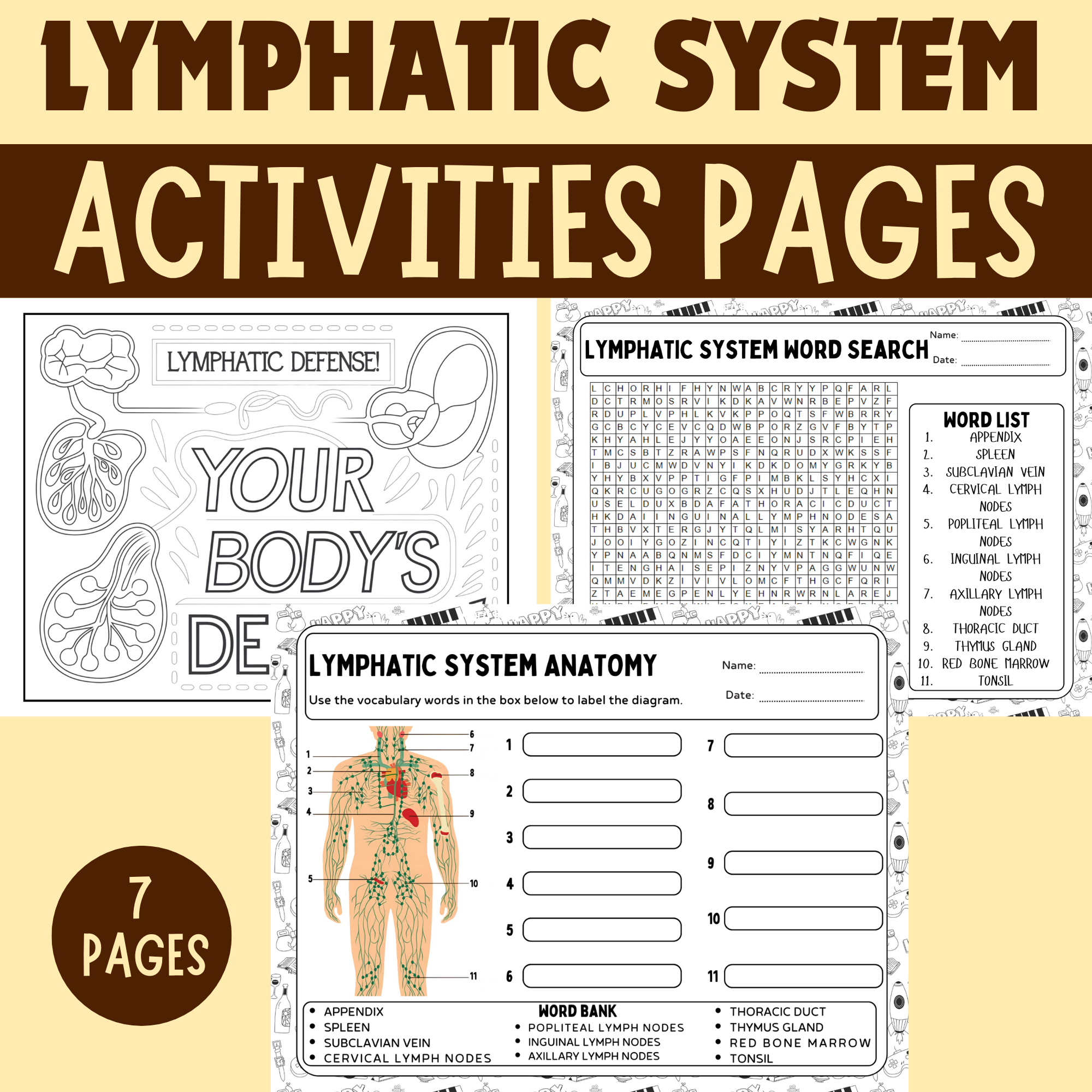 Discovering Chaos and Order: Sorting Activity | Cut and Paste | Made By ...