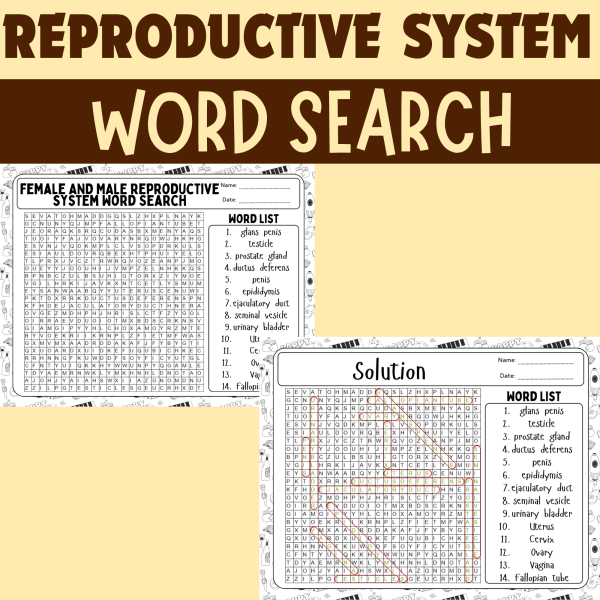 Human Reproductive System Activities - Female & Male Diagram Labeling ...