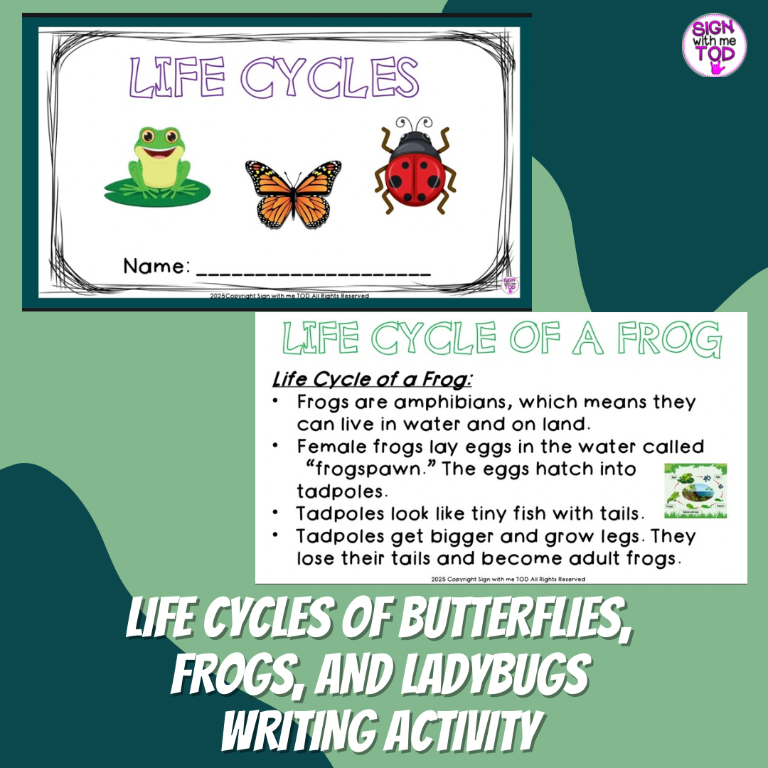 Deaf Education - ASL and English Winter Animals Vocabulary Flashcards ...