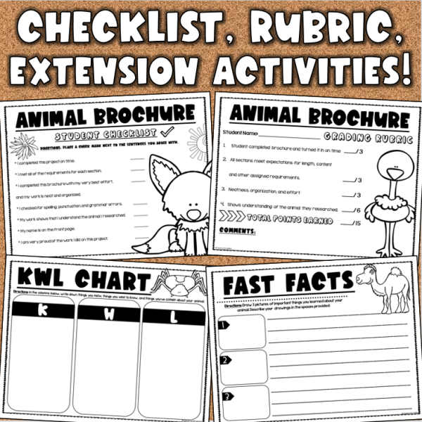 Desert Animals Research Activity Project Brochures - Made By Teachers