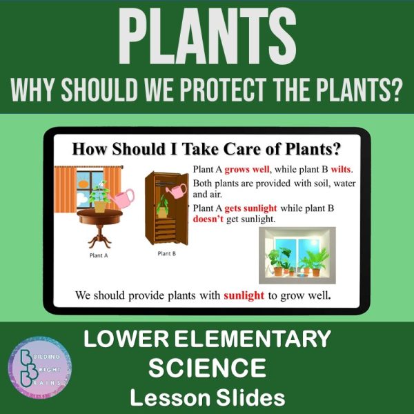 Plants - Protecting Plants | PowerPoint Lesson Slides Lower Elementary ...