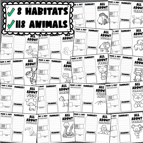 Animal Research Activity Project Brochures BUNDLE - Made By Teachers