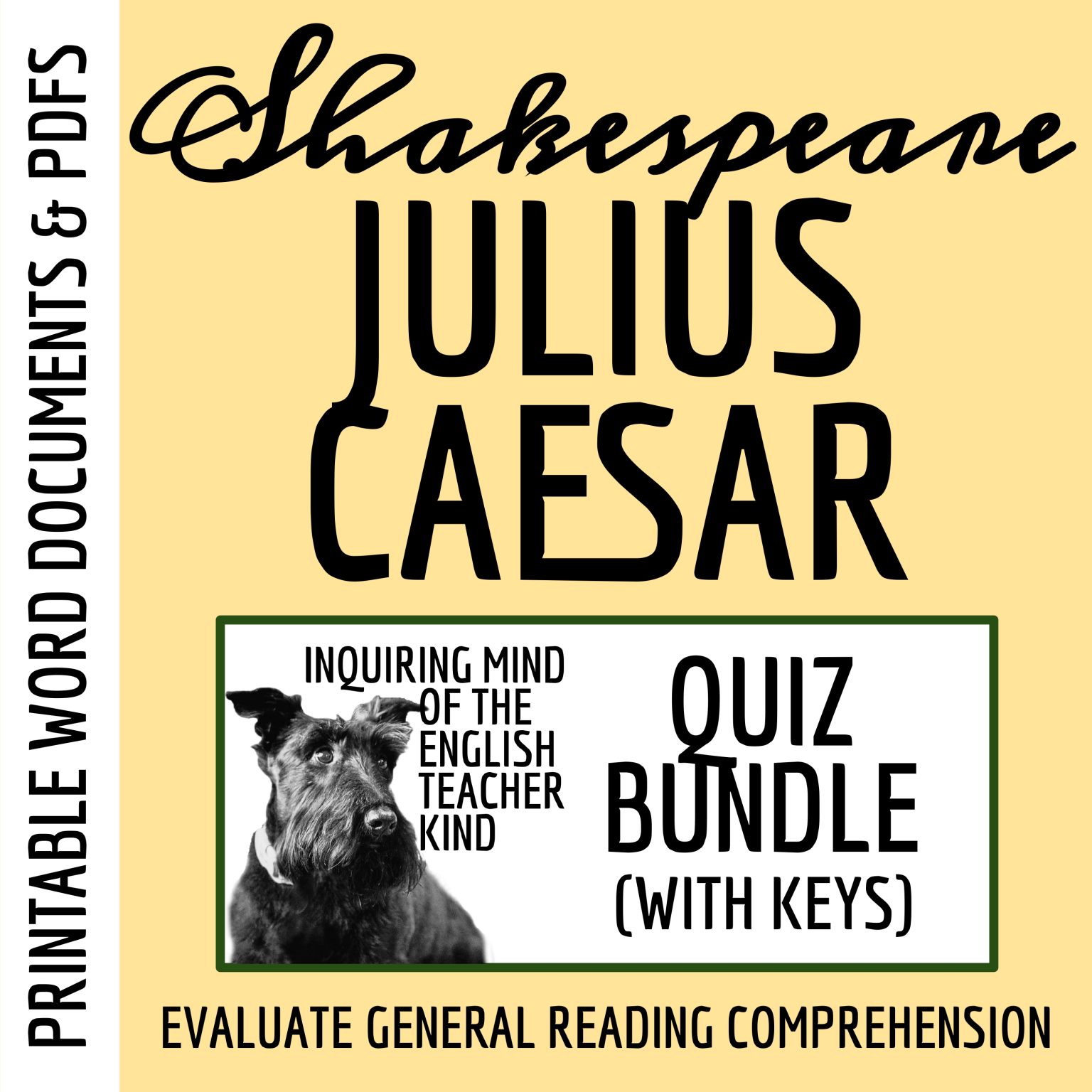 Shakespeare's Julius Caesar Quiz and Answer Key Bundle - Made By Teachers