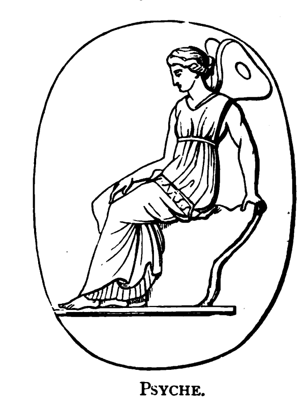 Cupid & Psyche Love Story Lesson Plan and Activities Mythology Series ...