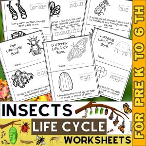 Insects Life Cycles Worksheets | Butterfly, Ladybug, Bee and Mosquito ...