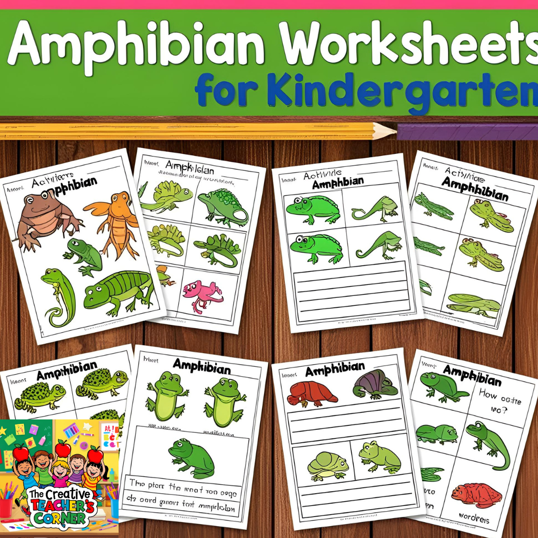 Preschool Drawing Worksheets | Made By Teachers