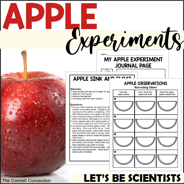 Pumpkin Seed Counting Mats - A Pumpkin Observation Activity | Made By ...