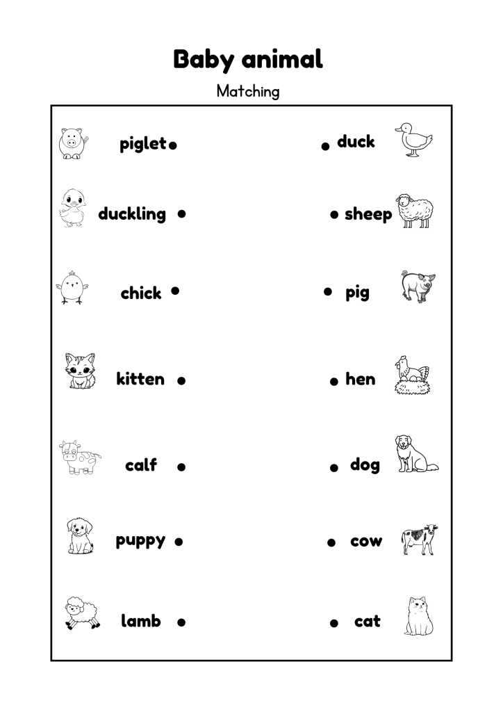 Baby Animal worksheet - Made By Teachers