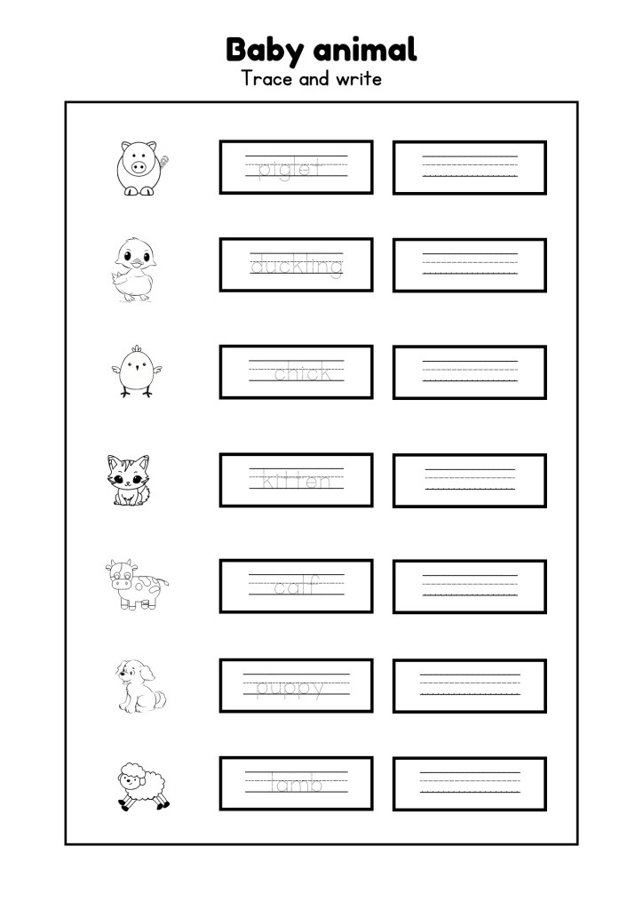 Baby Animal worksheet - Made By Teachers
