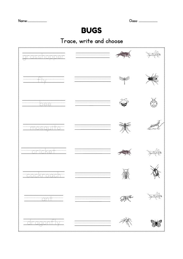 Bugs | Made By Teachers