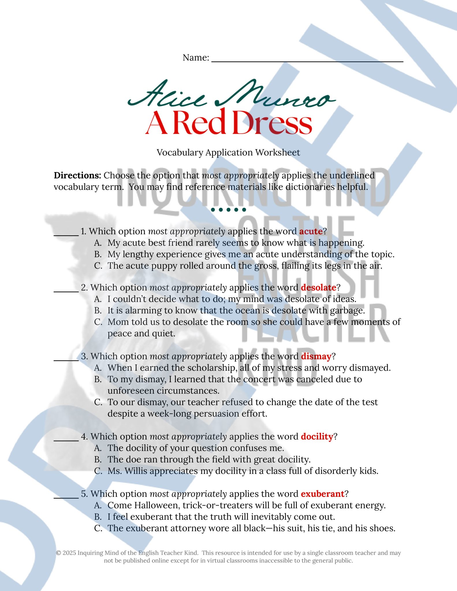 "A Red Dress" by Alice Munro Vocabulary Enrichment Activities for High ...