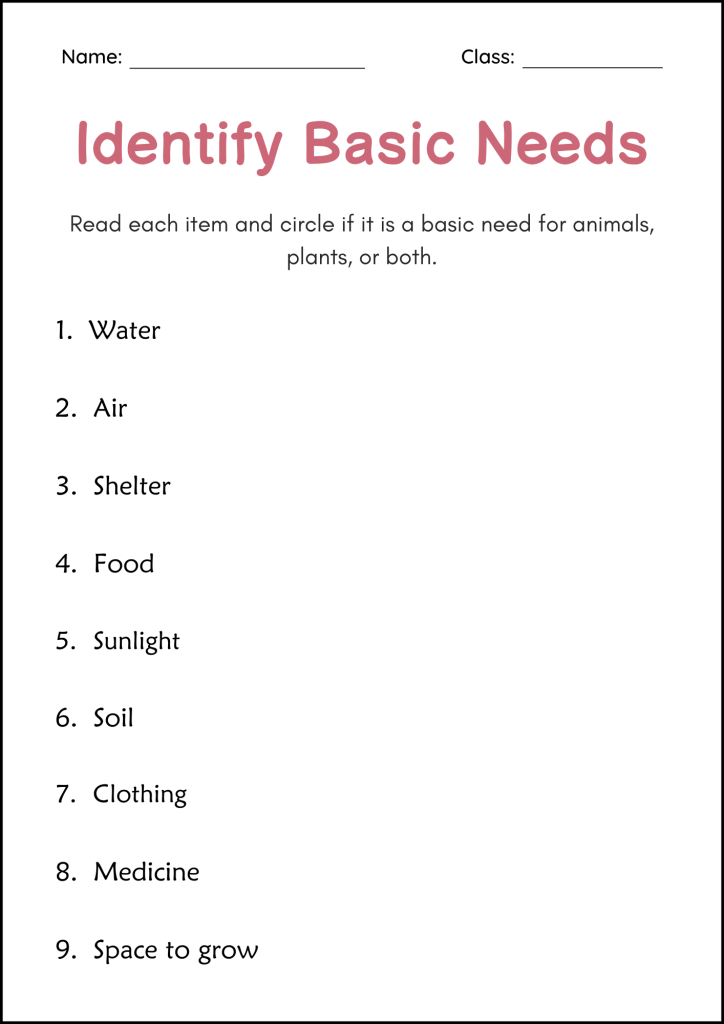 Basic Needs of Animals and Plants Activity Worksheets for Grade 1, 2, 3 ...