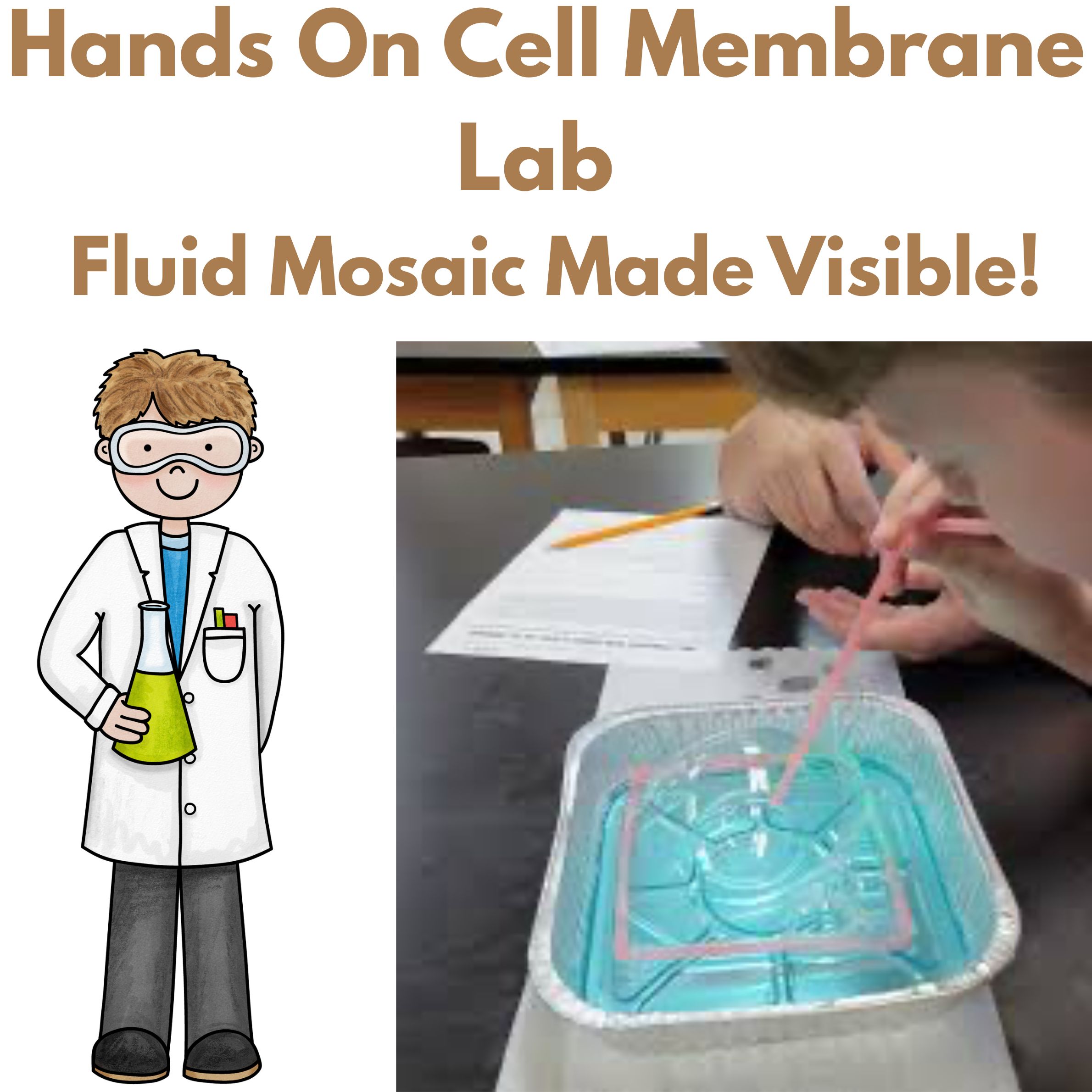 Geology Earthquake Spaghetti Marshmallow Challenge & Graphing | Made By ...