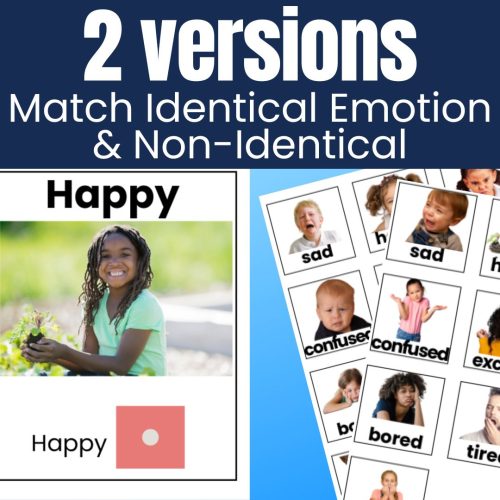 Match Emotions & Feelings – Adapted Interactive Book Aligned with ABLLS ...