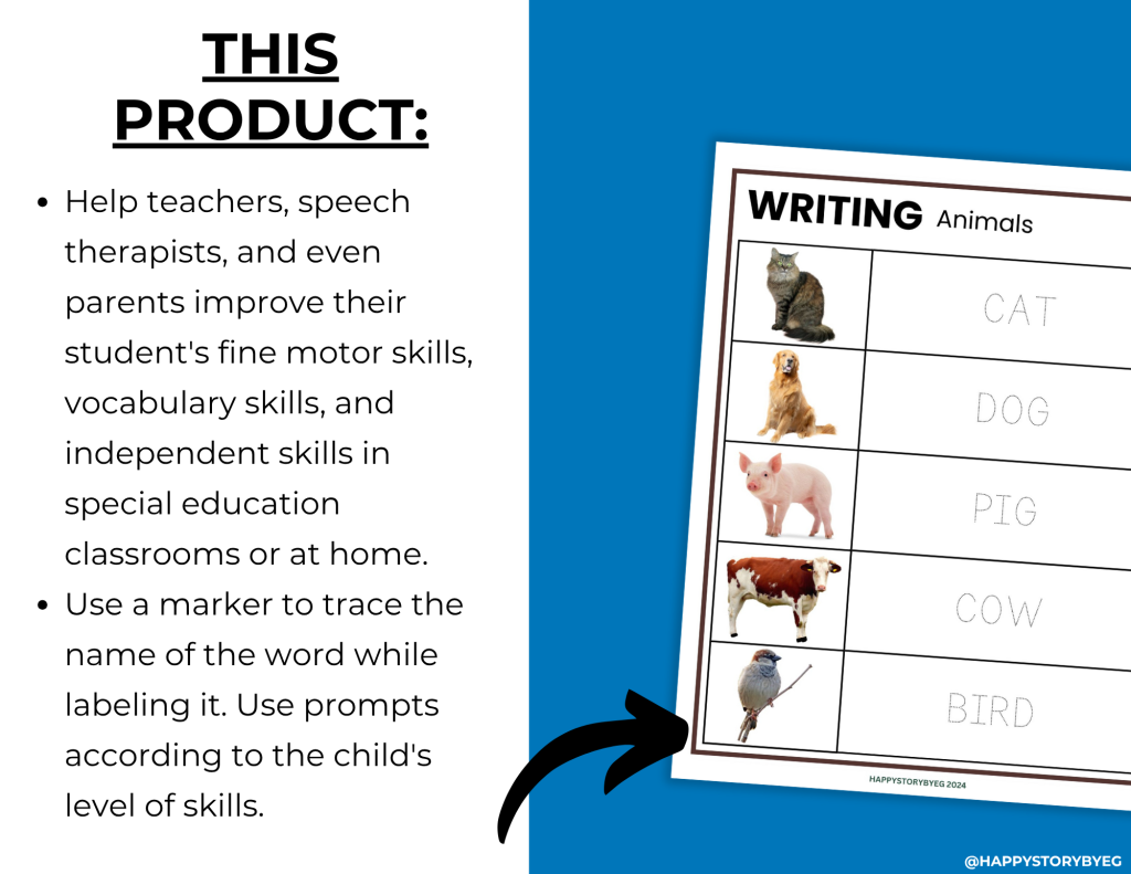 Writing Name of Common Item Words Worksheet Book for Autism Special Ed ...