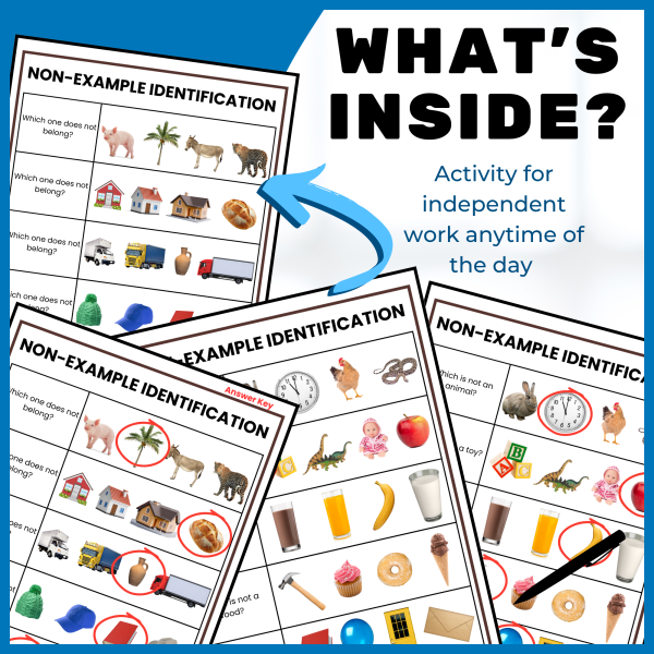 Which One Does Not Belong? Which is Not? Non-Examples Worksheet Book ...