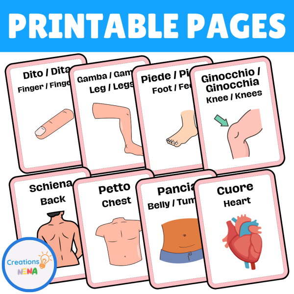 Body Parts in Italian - Made By Teachers