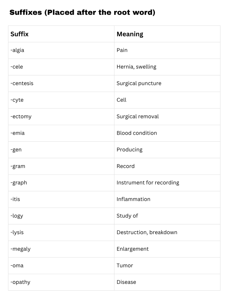 medical terminology prefixes suffixes and combining forms list - Made ...