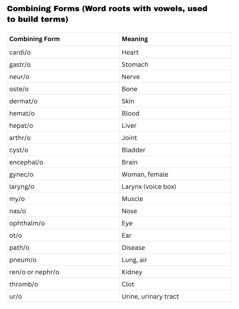 medical terminology prefixes suffixes and combining forms list - Made ...