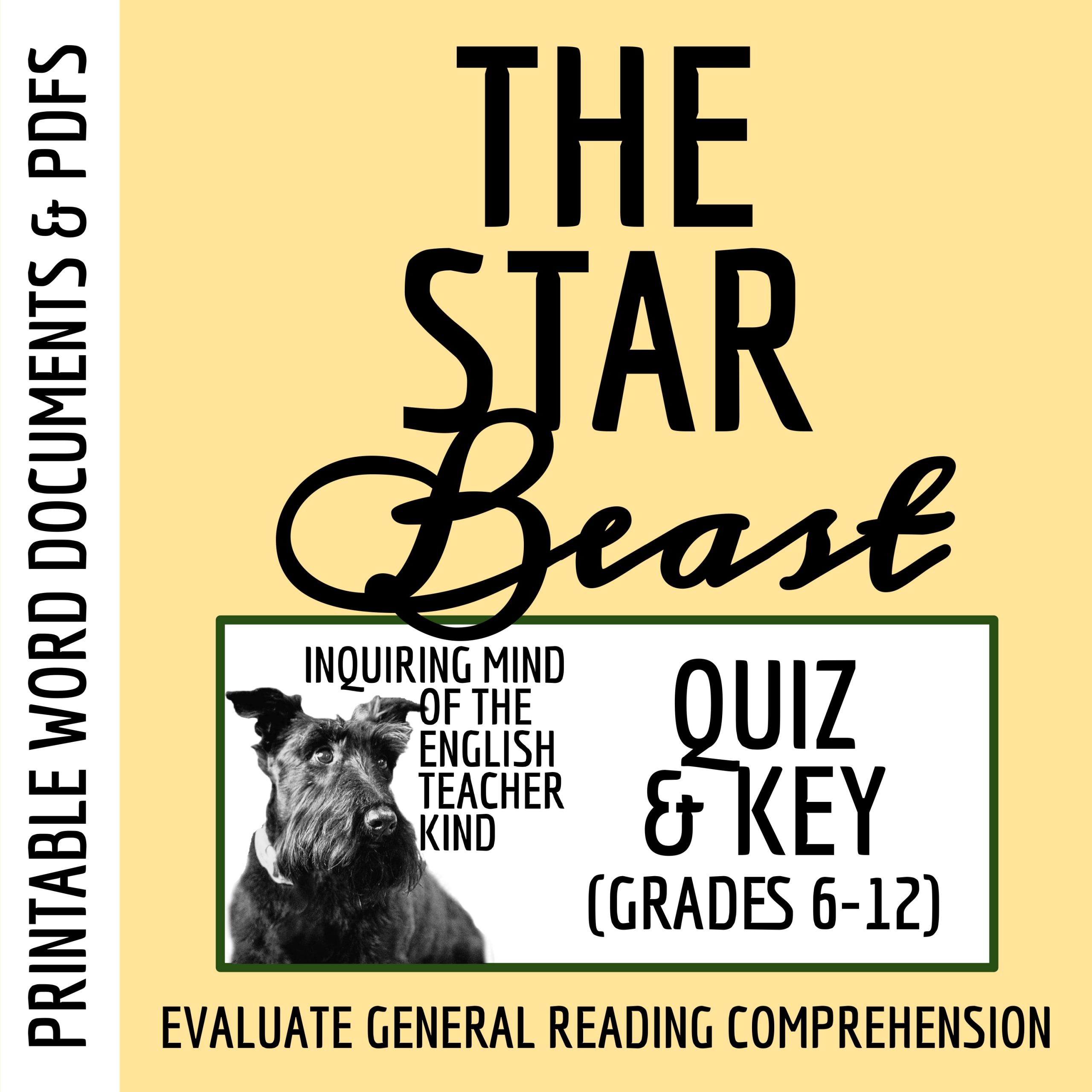 "A Christmas Dream" by Louisa May Alcott Quiz | Holiday Reading ...
