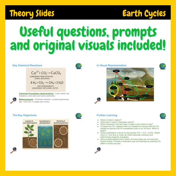 Earth Cycles Presentation Slides | Theory Carbon Nitrogen Water Cycles ...
