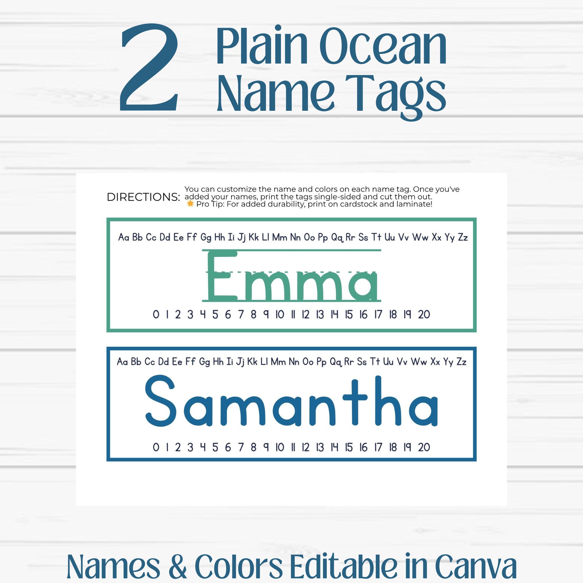 Under the Sea Desk Name Plates for Students | Ocean Theme | Editable in ...