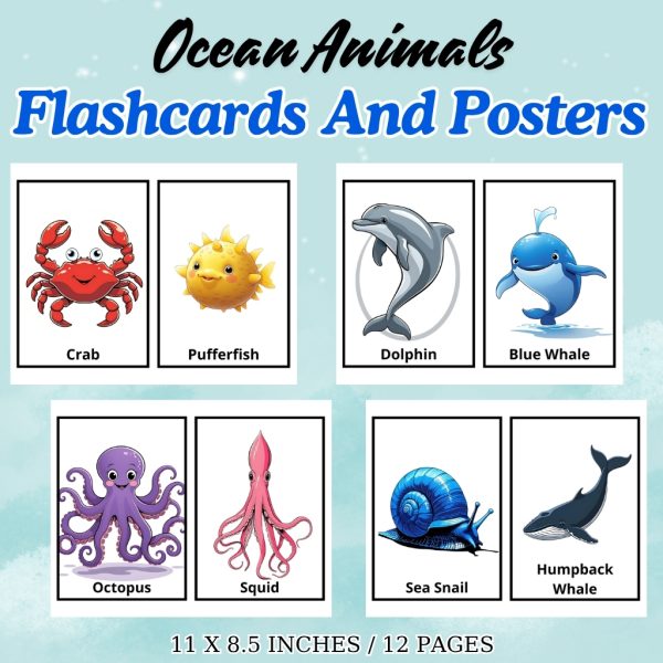Ocean Animals Flashcards and Posters - Made By Teachers