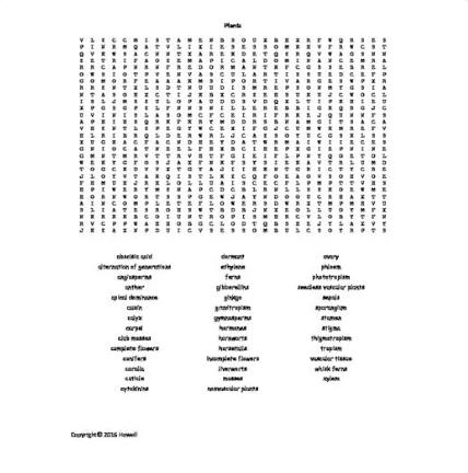 Civilizations of East and Southeast Asia Word Search for World History ...