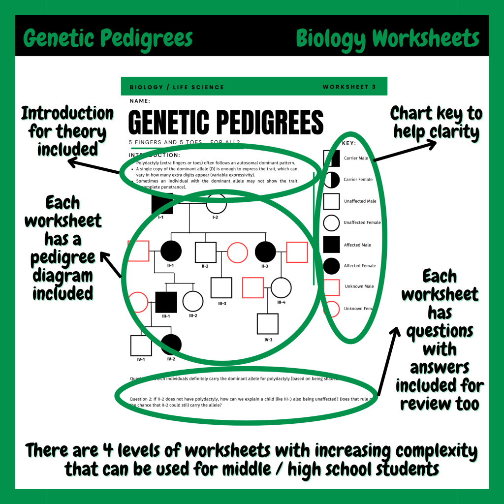 Genetic Pedigrees 4 Worksheet Set - Middle / High School | Print ...