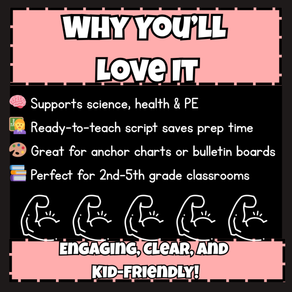 Muscular System Mega Bundle – Mini Lesson, Games, Poster, Cards ...
