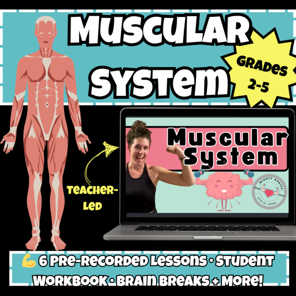 Muscular System Course for Kids–6 Pre-Recorded Lessons + Workbook ...