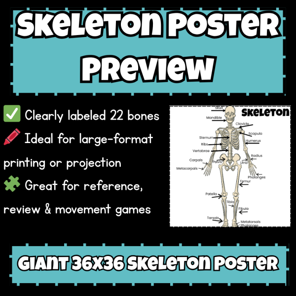 Skeleton Mini Lesson – 21 Bones with Functions, Teacher Script & 36x36 ...