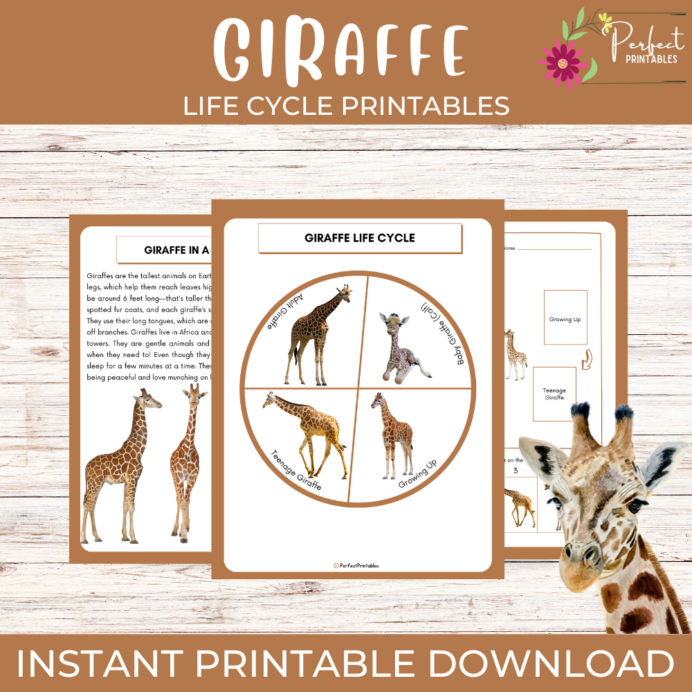 Life Cycle of a Squirrel Worksheet- Animal Science Unit Study With Fun ...
