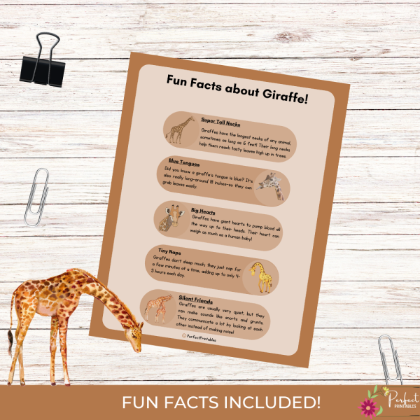 Life Cycle of a Giraffe Worksheet - Animal Science Unit Study With Fun ...
