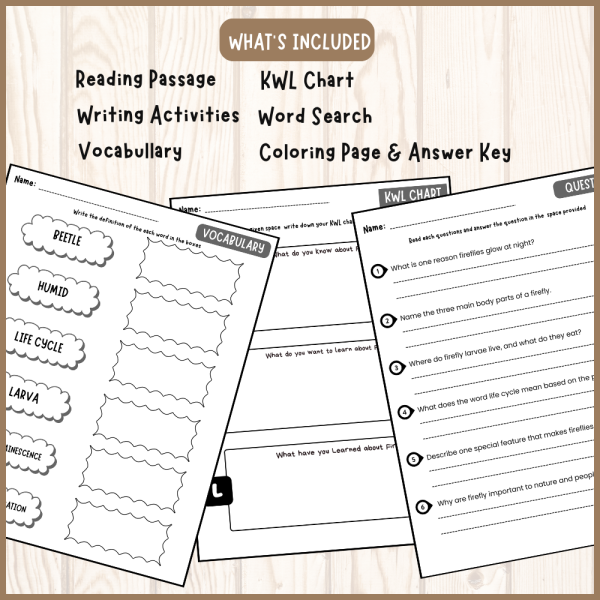 Firefly reading passage comprehension questions writing graphics ...