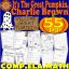 It's The Great Pumpkin Charlie Brown Read Aloud Book Companion Cartoon ...
