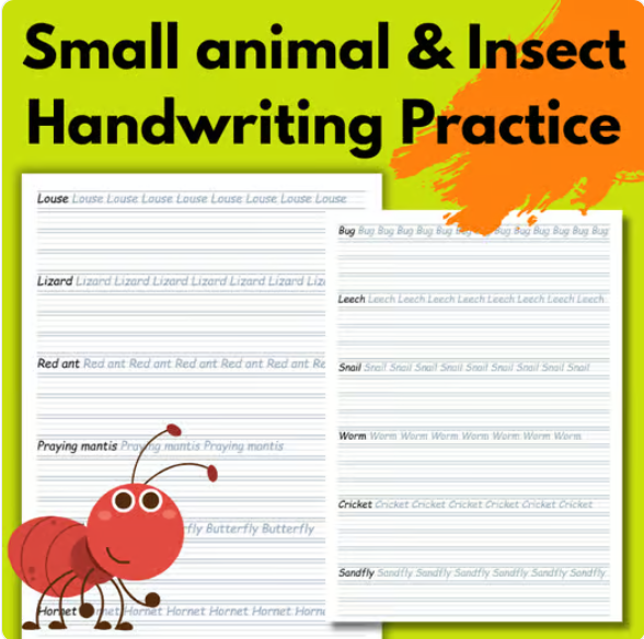 Handwriting Worksheet practice - Small Animals & Insects | Made By Teachers