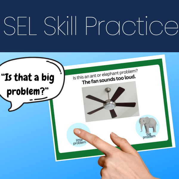 Size of the Problem Task Cards PreK to 3rd SEL Activity Emotional ...