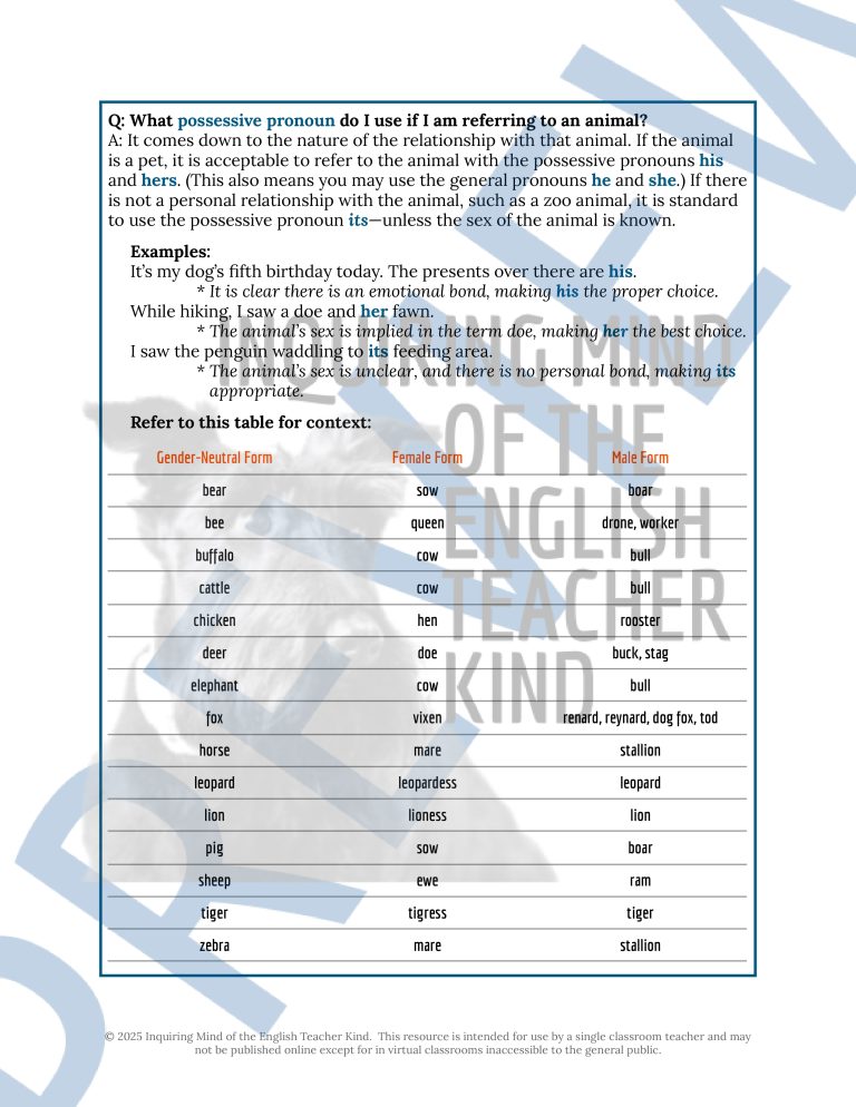Grammar Review Worksheet on Possessive Pronouns | High School English ...